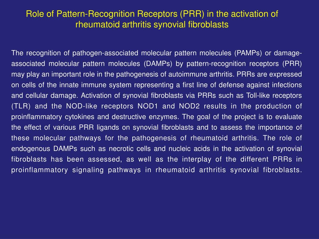 PPT - Role of Pattern-Recognition Receptors (PRR) in the activation of ...