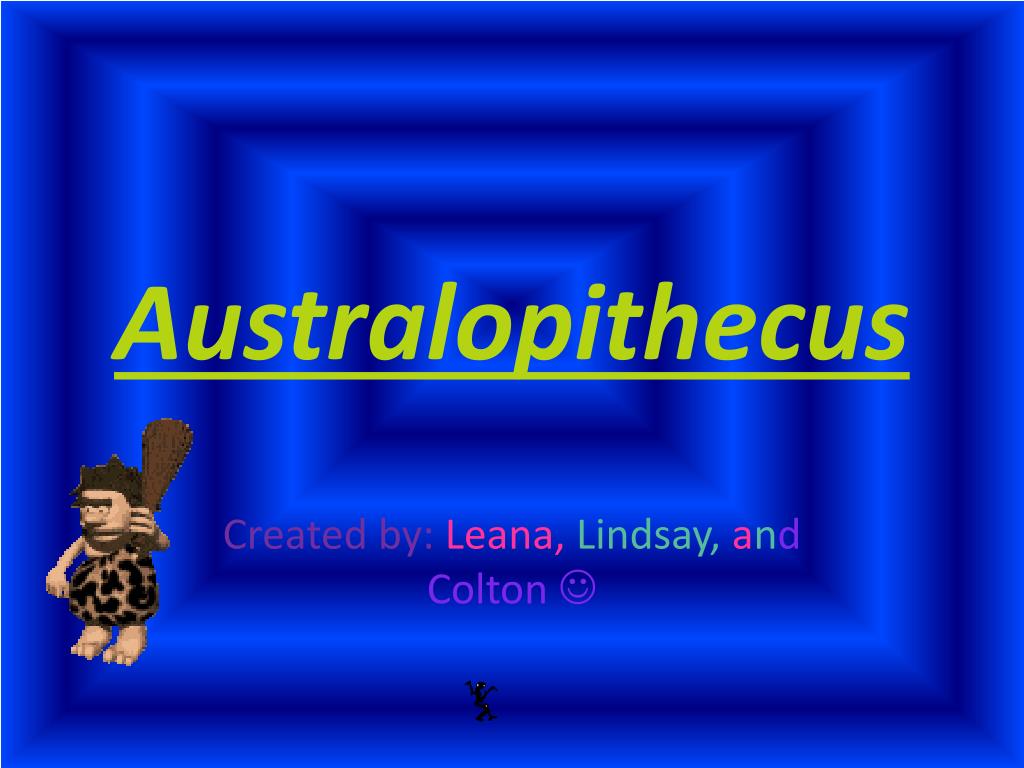 PPT - Australopithecus PowerPoint Presentation, free download - ID:1060964