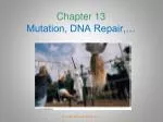 PPT - การกลายพันธุ์ (MUTATION) PowerPoint Presentation - ID:6215217