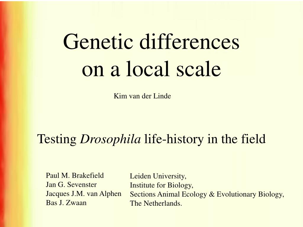 PPT - Genetic differences on a local scale PowerPoint Presentation ...