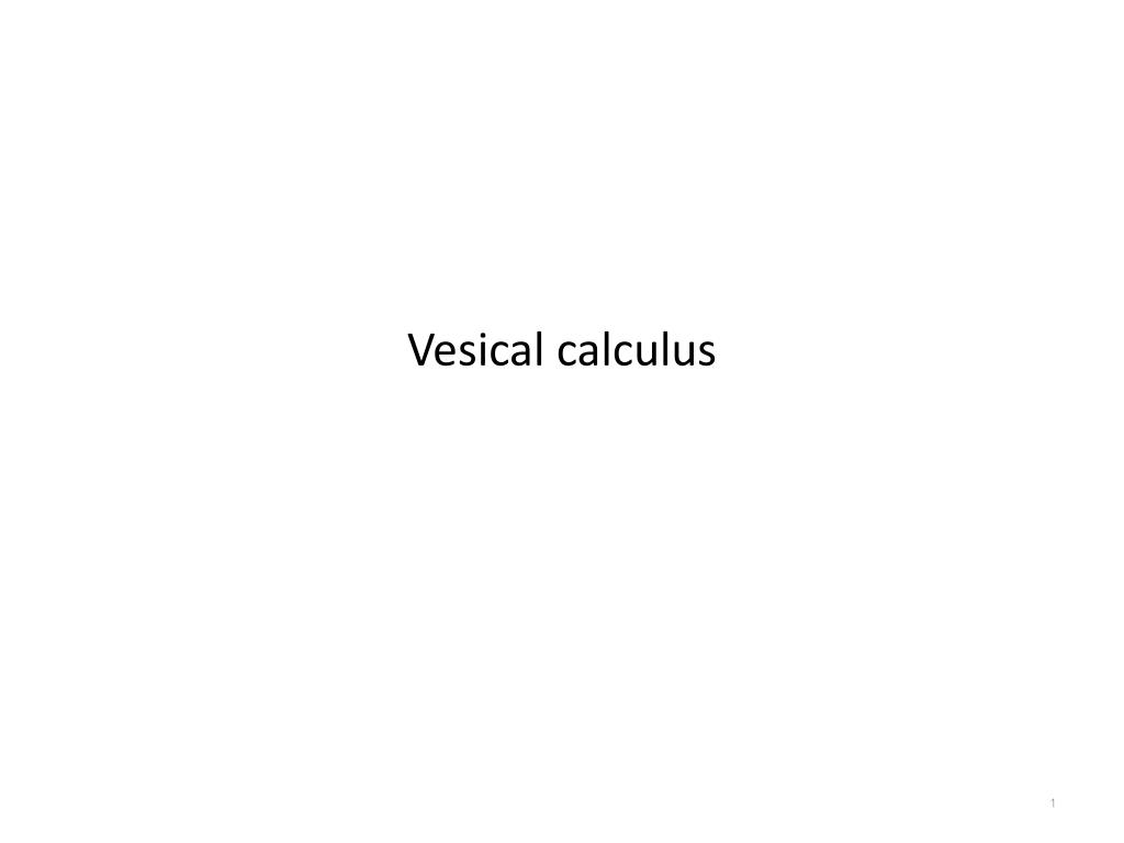 PPT - Vesical calculus PowerPoint Presentation, free download - ID:1062851