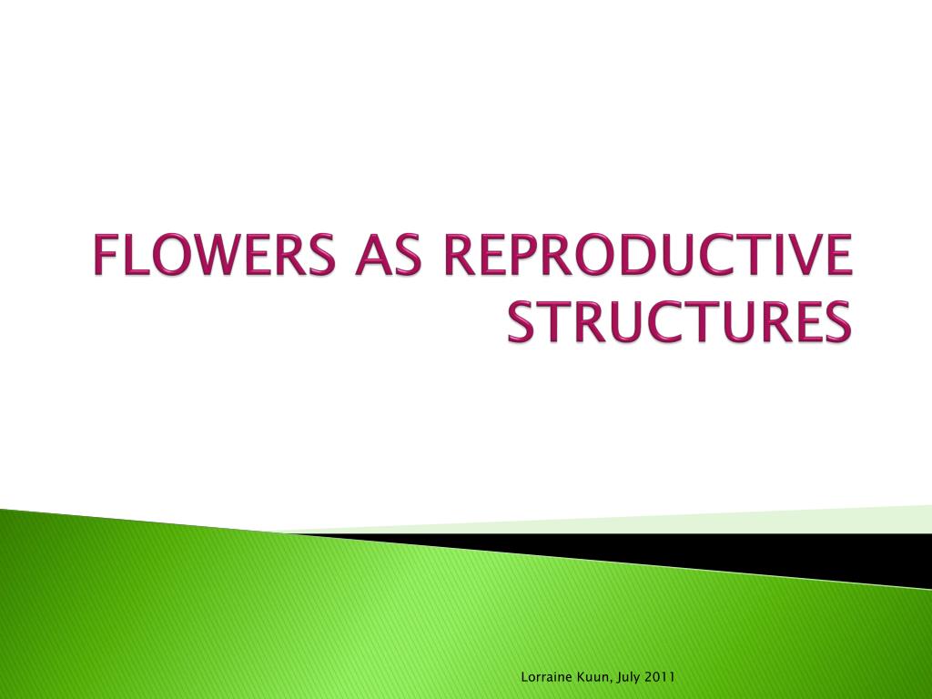 PPT - FLOWERS AS REPRODUCTIVE STRUCTURES PowerPoint Presentation, free ...