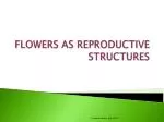 PPT - Reproductive shoot (flower) PowerPoint Presentation, free ...