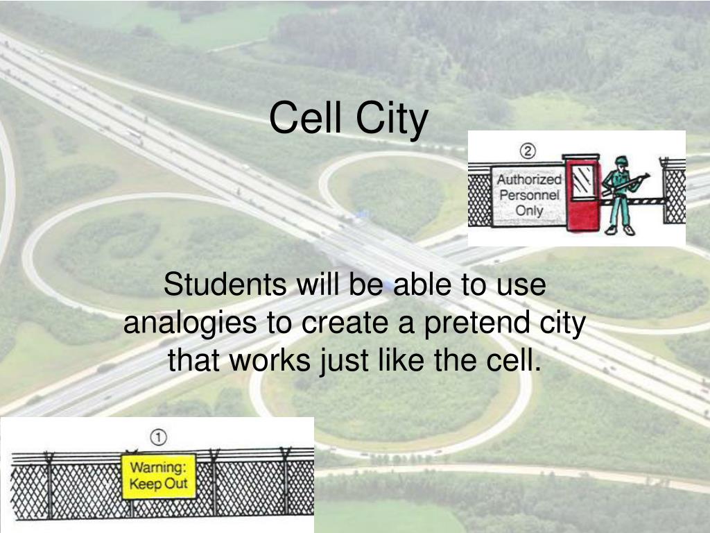 PPT - Cell City PowerPoint Presentation, free download - ID:1065498