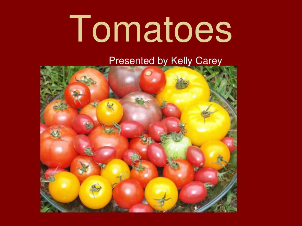 PPT - Tomatoes PowerPoint Presentation, free download - ID:1066045