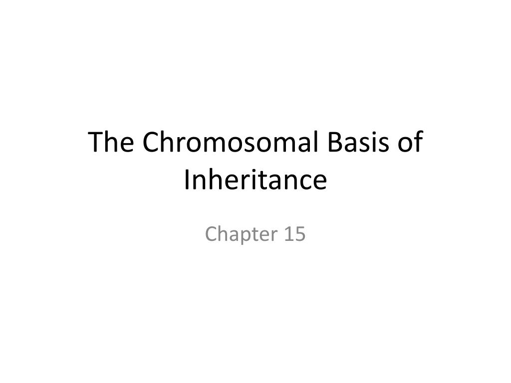 PPT - The Chromosomal Basis of Inheritance PowerPoint Presentation ...
