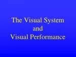 PPT - The visual system PowerPoint Presentation, free download - ID:348877