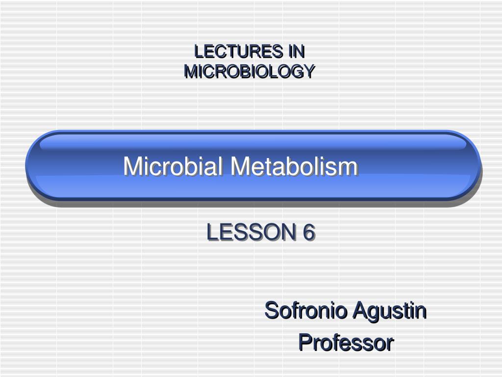 PPT - Microbial Metabolism PowerPoint Presentation, free download - ID ...