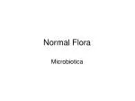 PPT - Microbial Flora of Human Body (Normal Flora) PowerPoint ...
