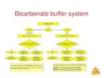 PPT - Carbonic Acid-Bicarbonate Buffering System PowerPoint ...