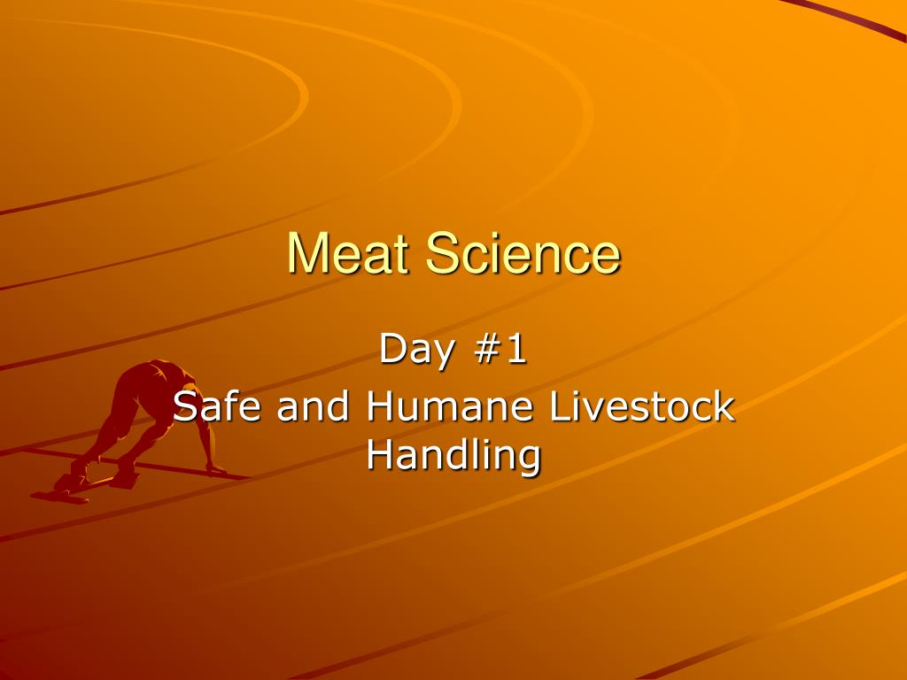 PPT - Meat Science PowerPoint Presentation, free download - ID:1073924