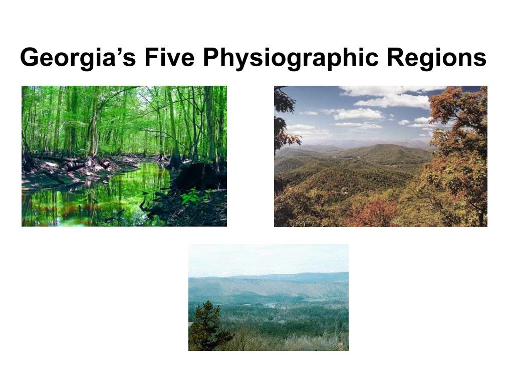 PPT - Georgia’s Five Physiographic Regions PowerPoint Presentation ...