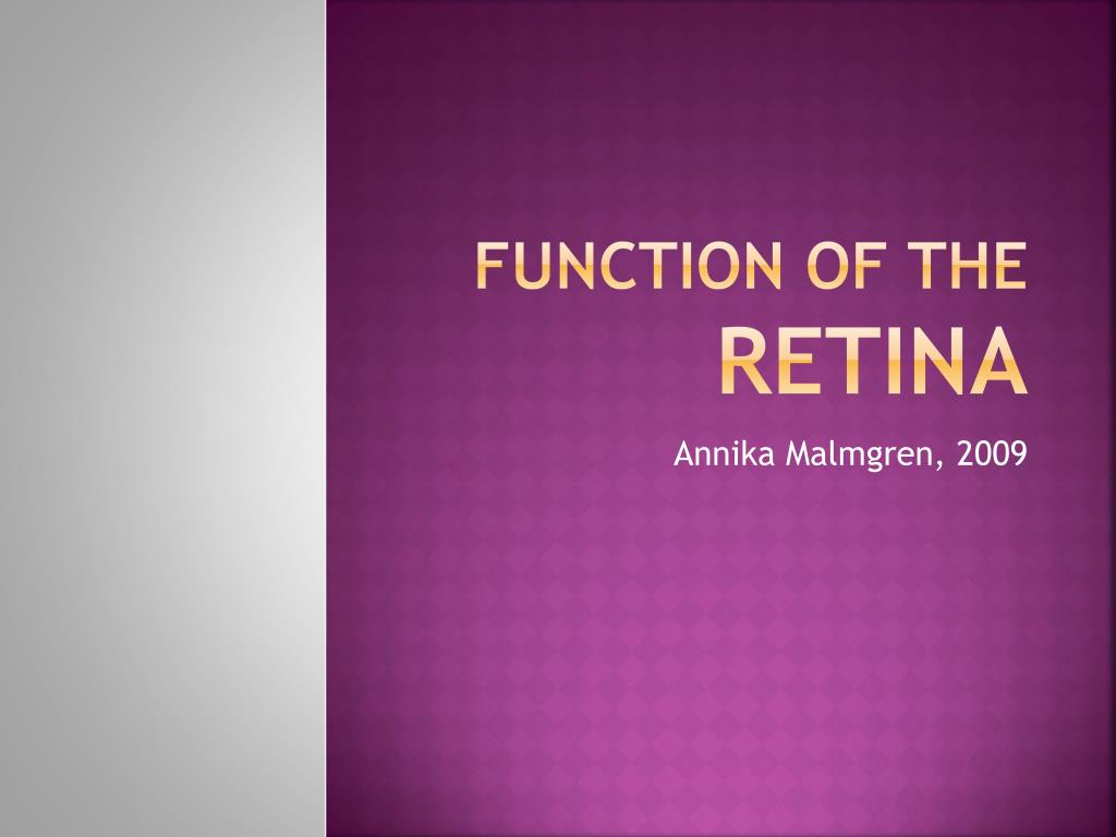 PPT - Function of the retina PowerPoint Presentation, free download ...