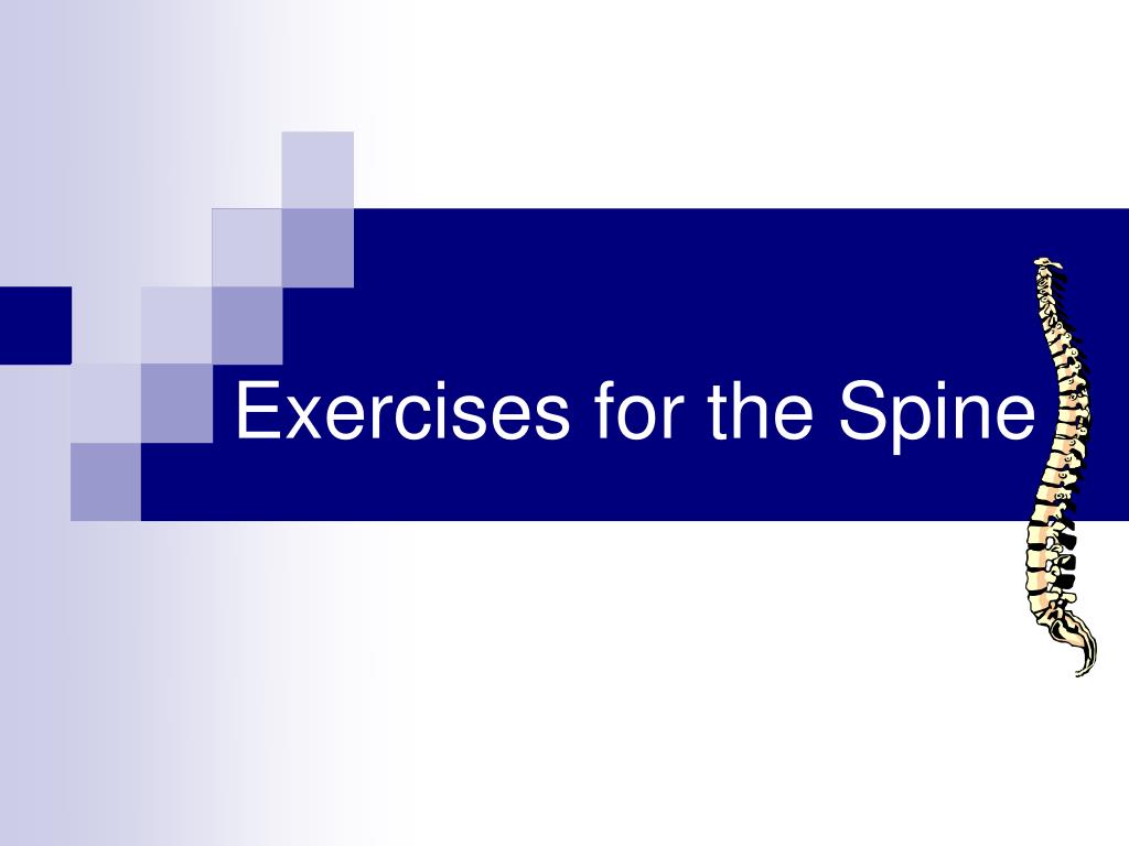 PPT - Exercises for the Spine PowerPoint Presentation, free download ...