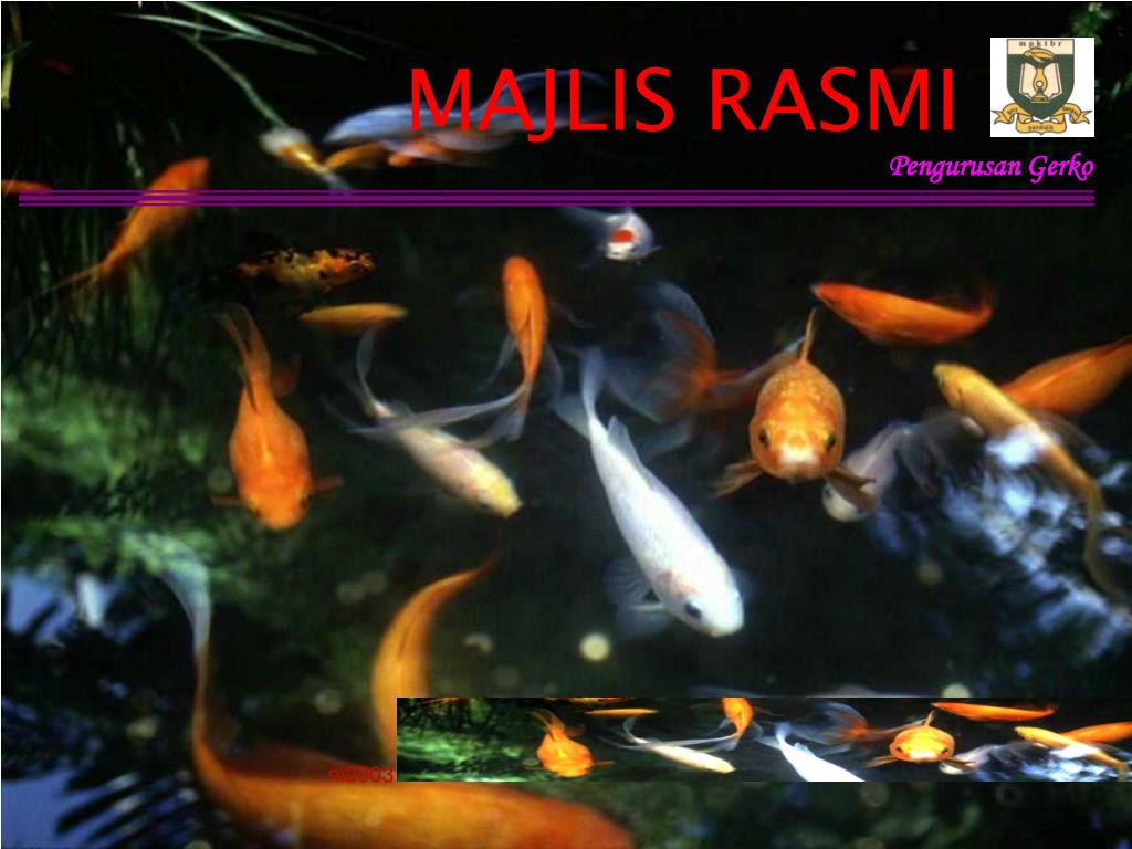 PPT - MAJLIS RASMI PowerPoint Presentation, free download - ID:1077353