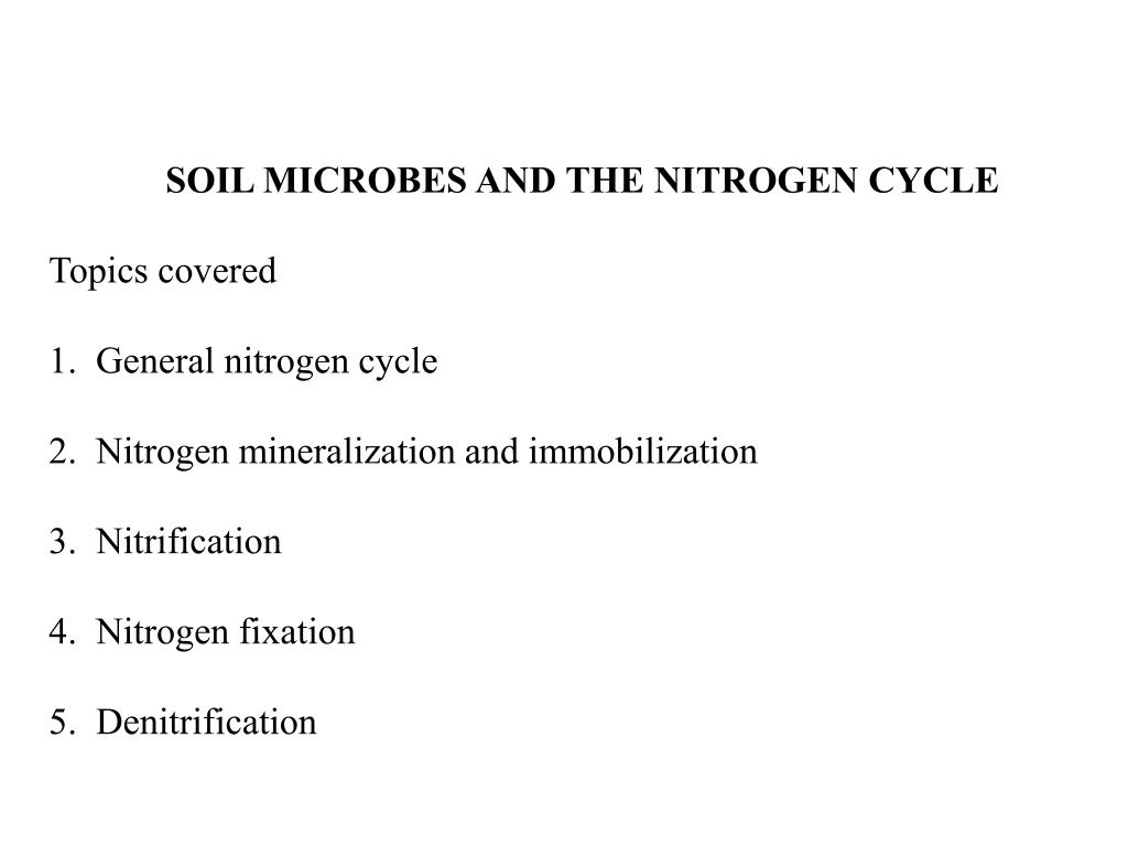 PPT - SOIL MICROBES AND THE NITROGEN CYCLE Topics covered 1. General ...