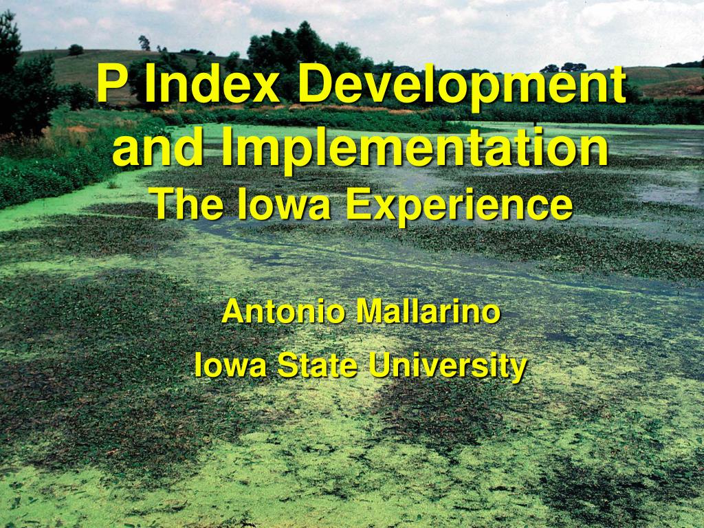 PPT - P Index Development and Implementation The Iowa Experience ...