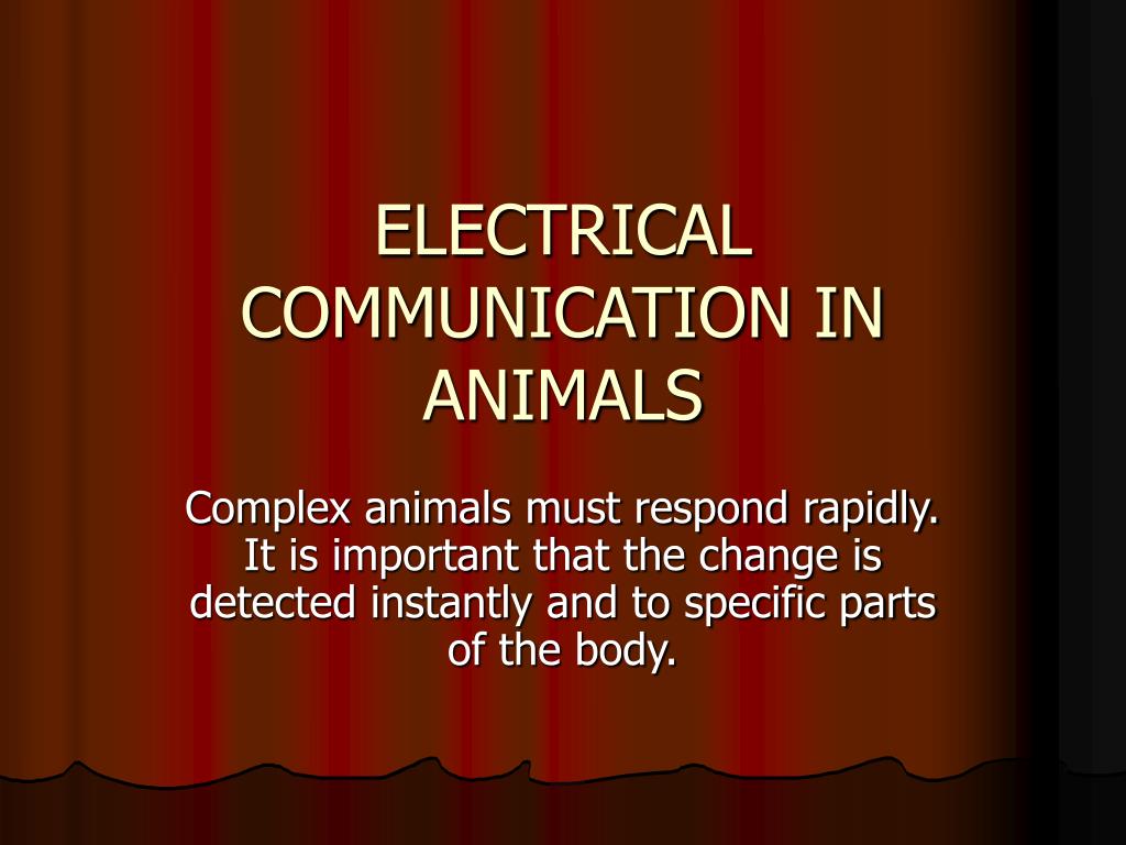PPT - ELECTRICAL COMMUNICATION IN ANIMALS PowerPoint Presentation, free ...