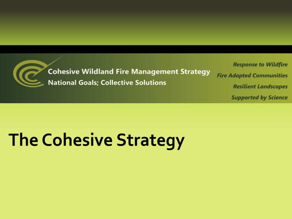 PPT - The Cohesive Strategy PowerPoint Presentation, free download - ID ...