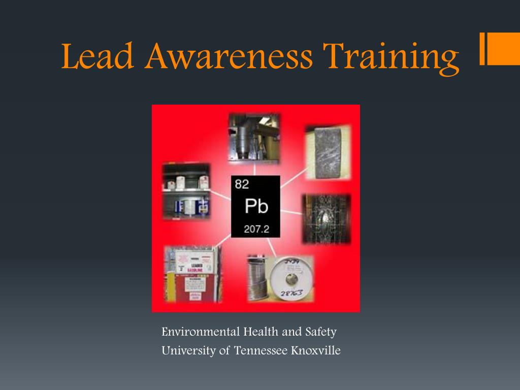 PPT - Lead Awareness Training PowerPoint Presentation, free download ...