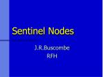 PPT - Sentinel: Dynamic Fire Location Mapping PowerPoint Presentation ...