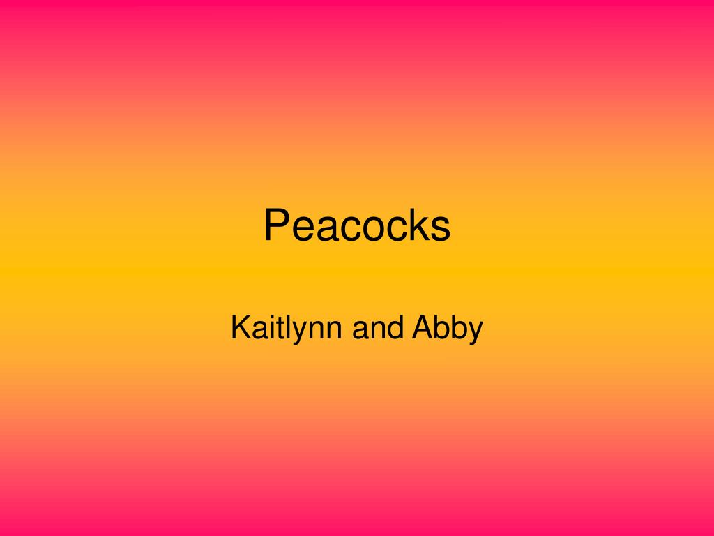 PPT - Peacocks PowerPoint Presentation, free download - ID:1090331