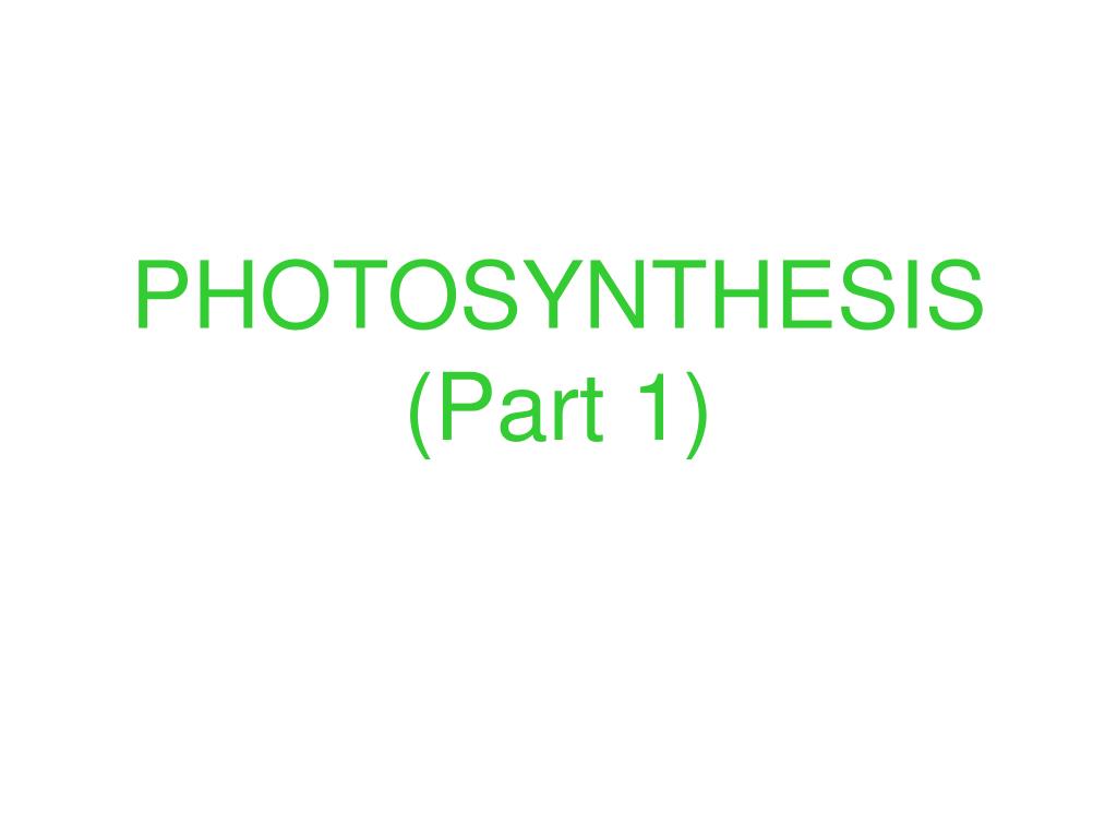 PPT - PHOTOSYNTHESIS (Part 1) PowerPoint Presentation, free download ...