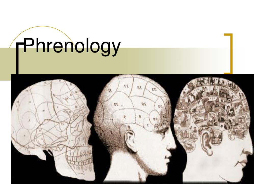 PPT - Phrenology PowerPoint Presentation, free download - ID:1092018