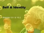 PPT - Self and Identity PowerPoint Presentation, free download - ID:5327866