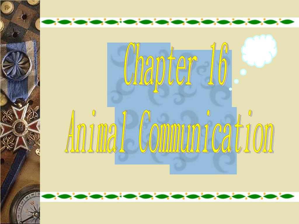 PPT - Chapter 16 Animal Communication PowerPoint Presentation, free ...