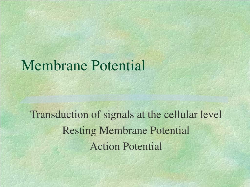 PPT - Membrane Potential PowerPoint Presentation, free download - ID ...