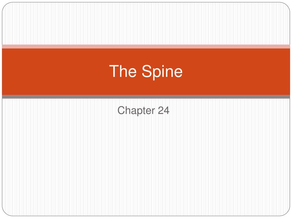 PPT - The Spine PowerPoint Presentation, free download - ID:1093690