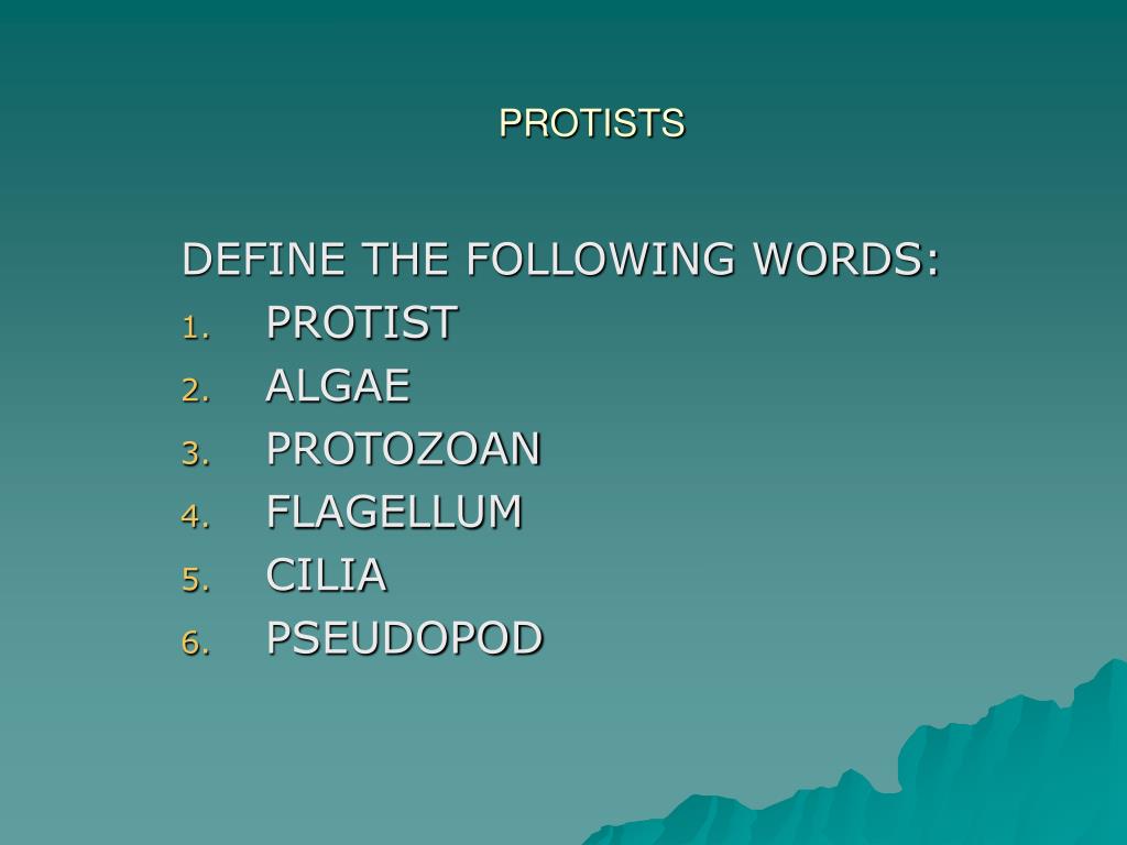 PPT - PROTISTS PowerPoint Presentation, free download - ID:1094882