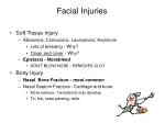 PPT - Facial Injuries PowerPoint Presentation, free download - ID:4281313
