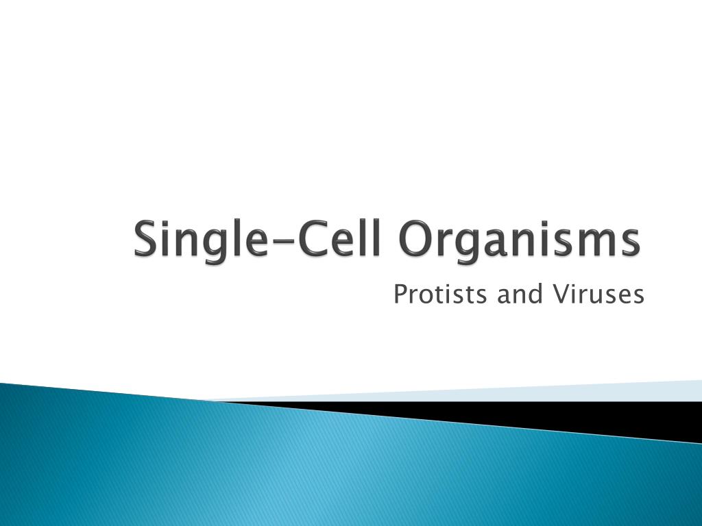 PPT - Protists, Viruses, and Bacteria in Single-Cell Organisms ...