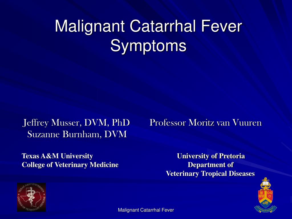 PPT - Malignant Catarrhal Fever Symptoms PowerPoint Presentation, free ...