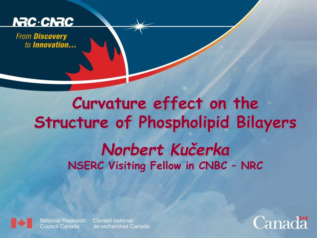 PPT - Curvature effect on the Structure of Phospholipid Bilayers ...