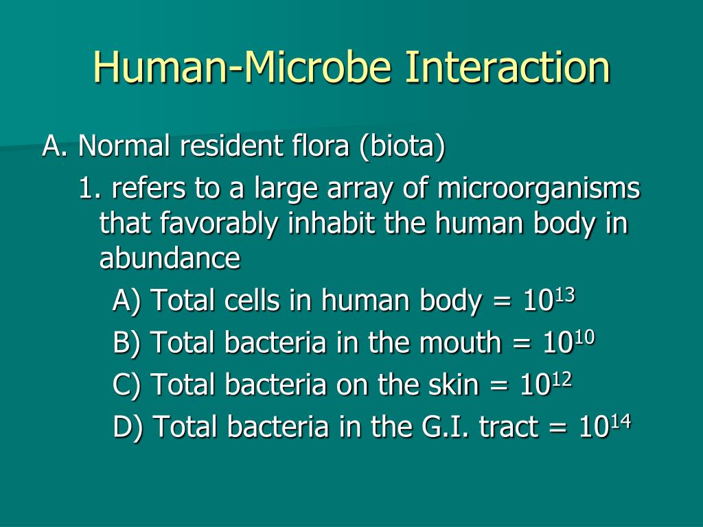 PPT - Human-Microbe Interaction PowerPoint Presentation, free download ...