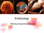 PPT - GENERAL EMBRYOLOGY PowerPoint Presentation, free download - ID:240085