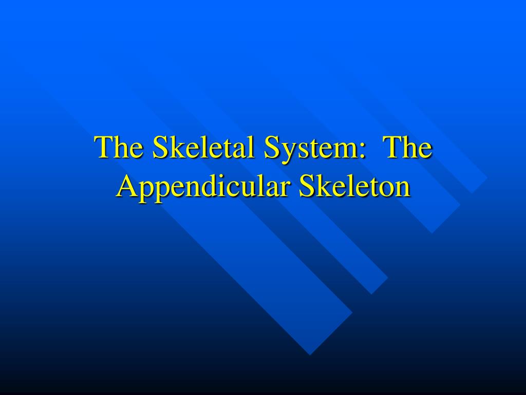 PPT - The Skeletal System: The Appendicular Skeleton PowerPoint ...
