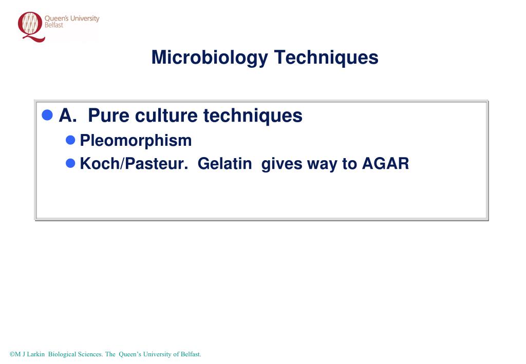 PPT - Microbiology Techniques PowerPoint Presentation, free download ...