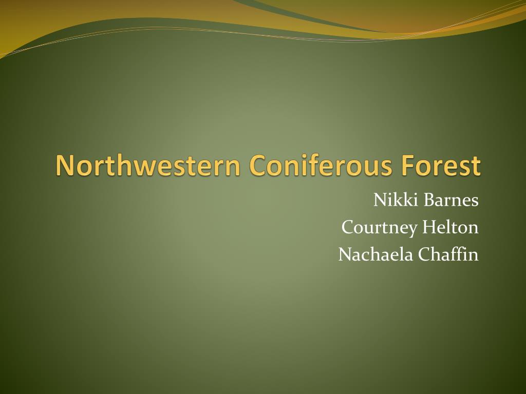 PPT - Northwestern Coniferous Forest PowerPoint Presentation, free ...