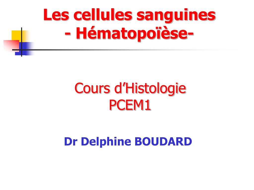PPT - Cours d’Histologie PCEM1 PowerPoint Presentation, free download ...