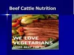 PPT - Beef Cattle Nutrition (PART I) PowerPoint Presentation, free ...