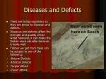 PPT - Reconstruction of Maxillectomy and Midfacial Defects PowerPoint ...