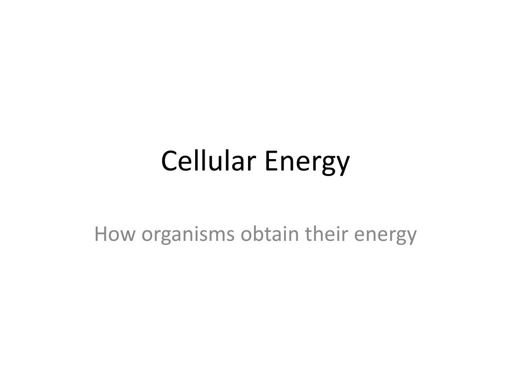 PPT - Understanding Cellular Energy: How Organisms Transform and ...