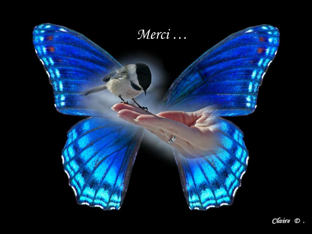 PPT - Merci … PowerPoint Presentation, free download - ID:1106457