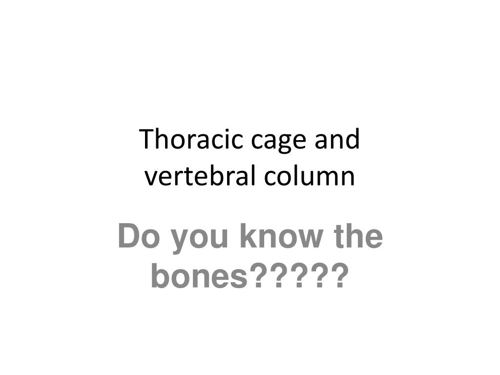 PPT - Thoracic cage and vertebral column PowerPoint Presentation, free ...