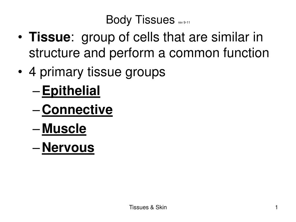 PPT - Body Tissues rev 9-11 PowerPoint Presentation, free download - ID ...