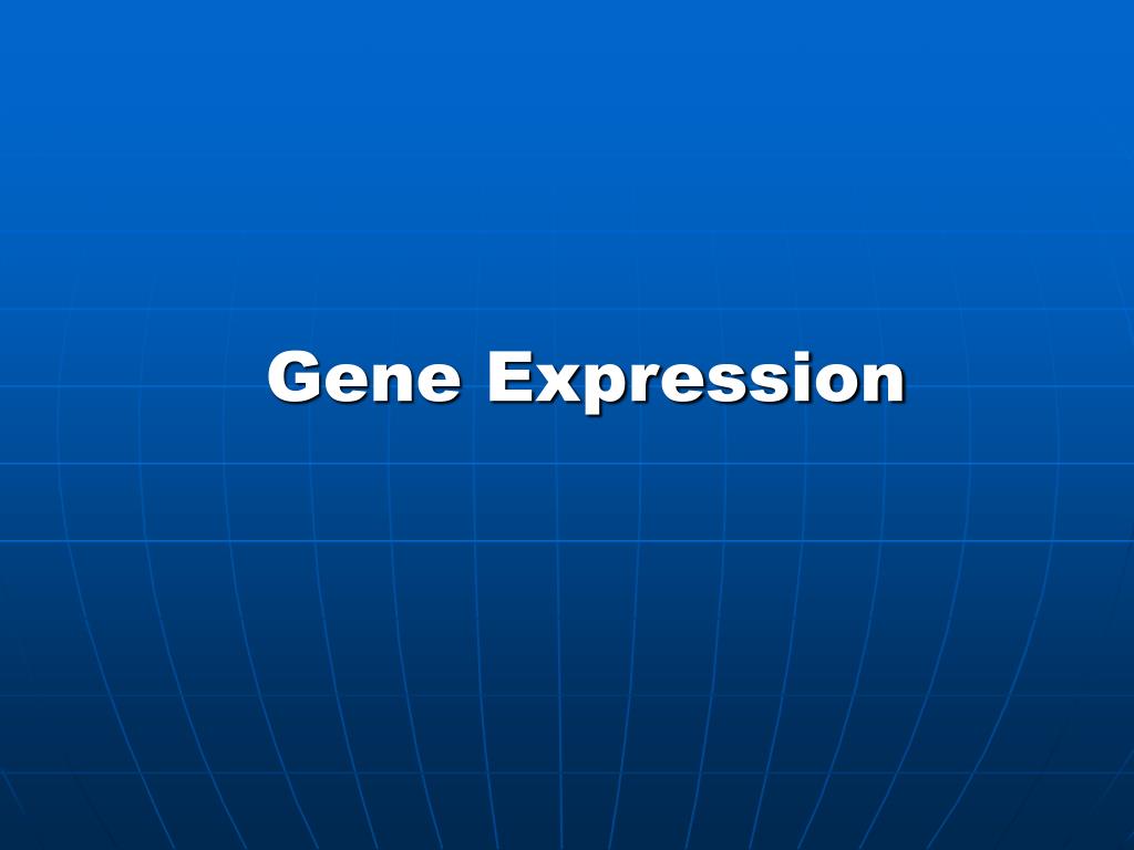 PPT - Gene Expression PowerPoint Presentation, free download - ID:1112939